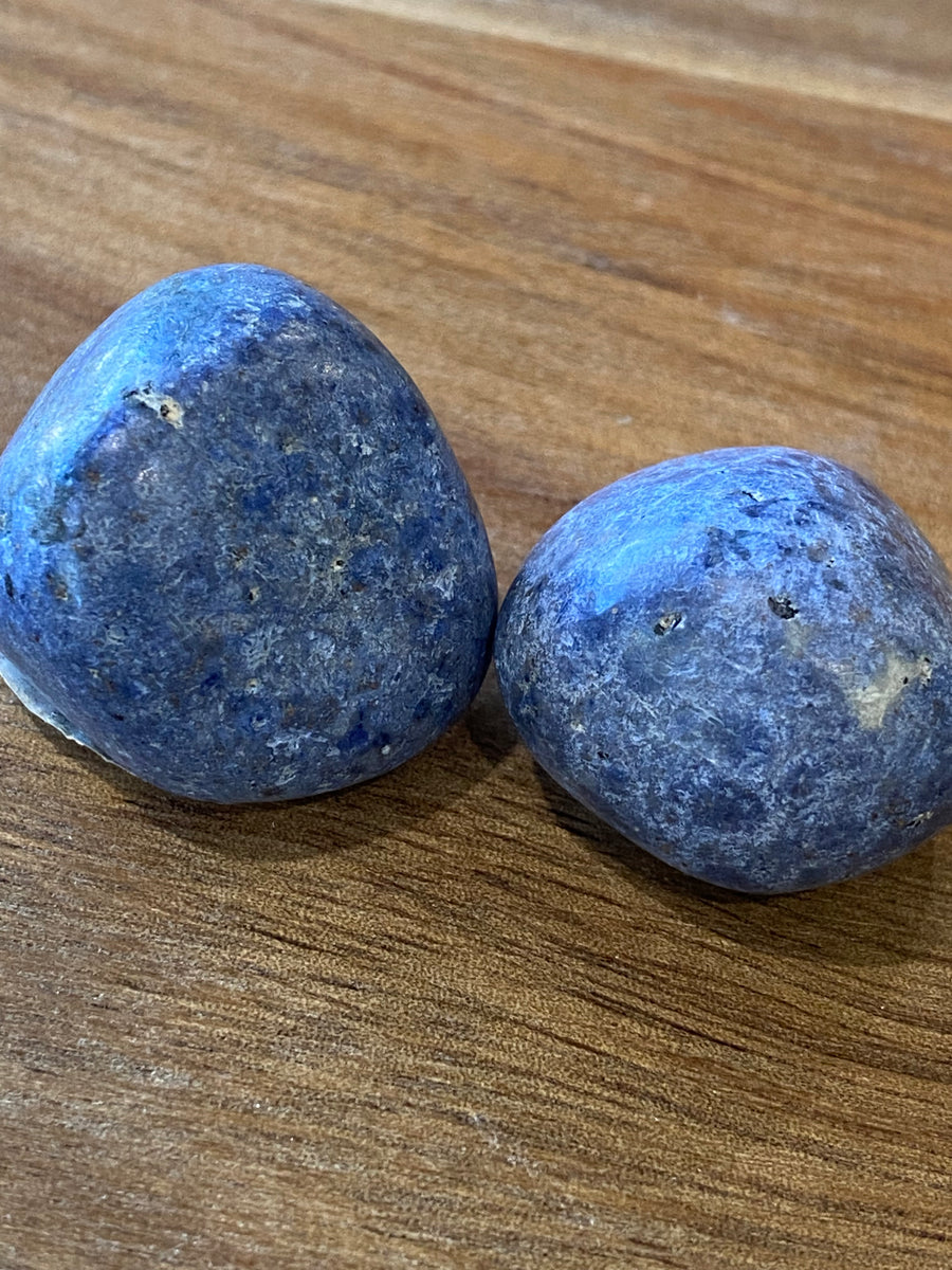 Blue Coral Tumble Stones – Earth Vibrations