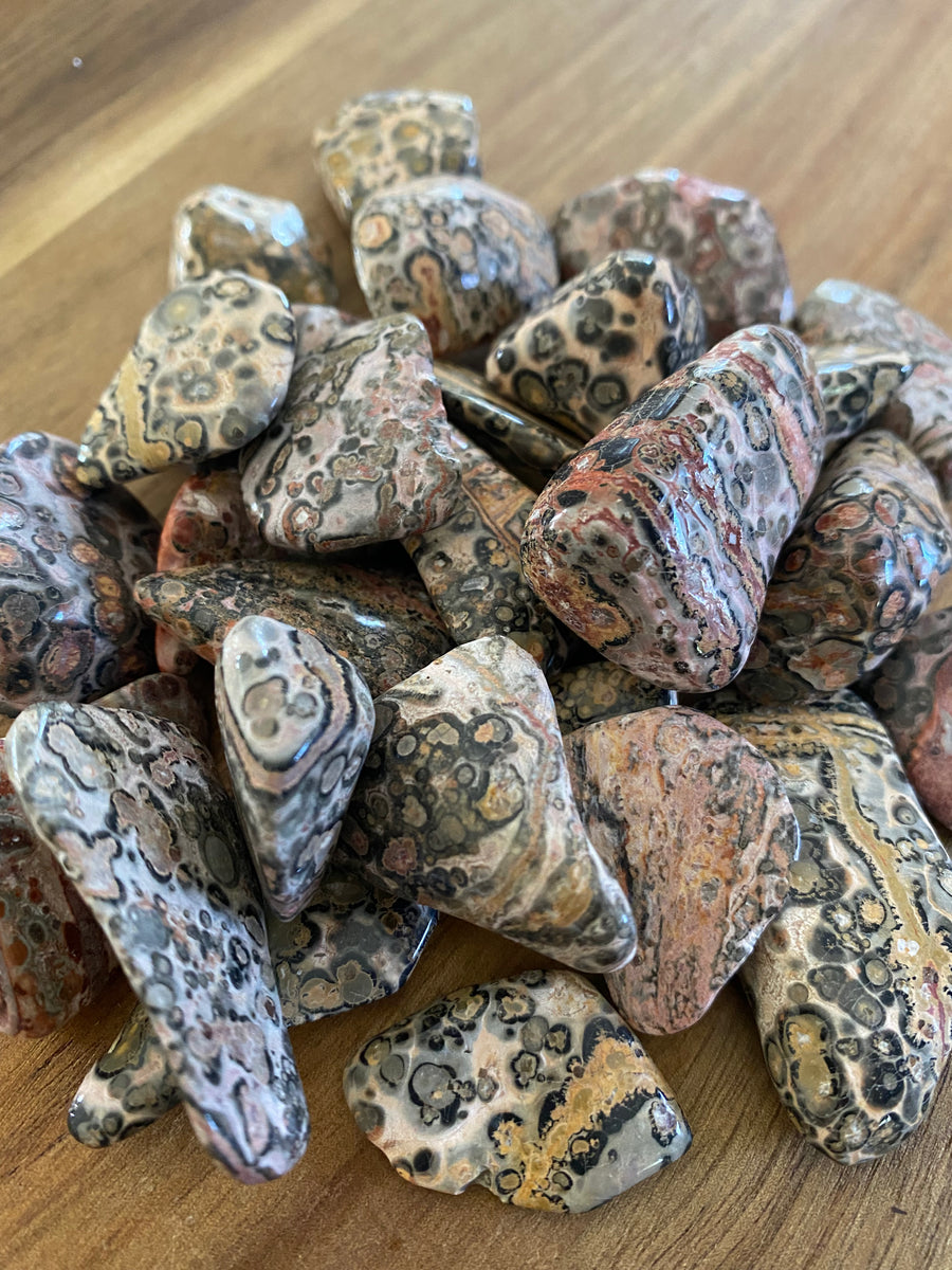 Leopard Skin Jasper Tumbled Stones – Earth Vibrations